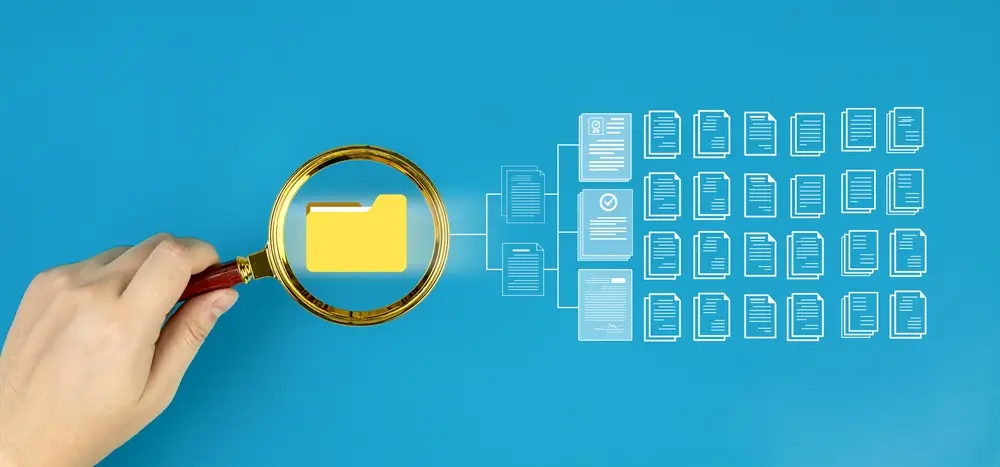 What Is a Search Engine & What Are the Best Ones to Use?